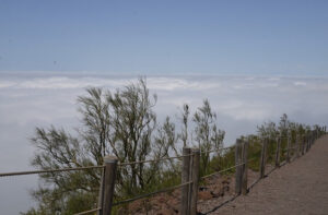 Wezuwiusz Zwiedzanie w 2025 r. | Jak dostać | Wycieczki | Jak kupić ...